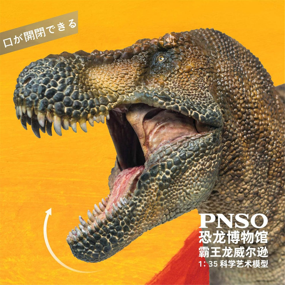 PNSO 恐竜博物館 1/35 サイズ ティラノサウルス T-REX 恐竜 リアル フィギュア PVC プラモデル おもちゃ 模型 恐竜好 ...